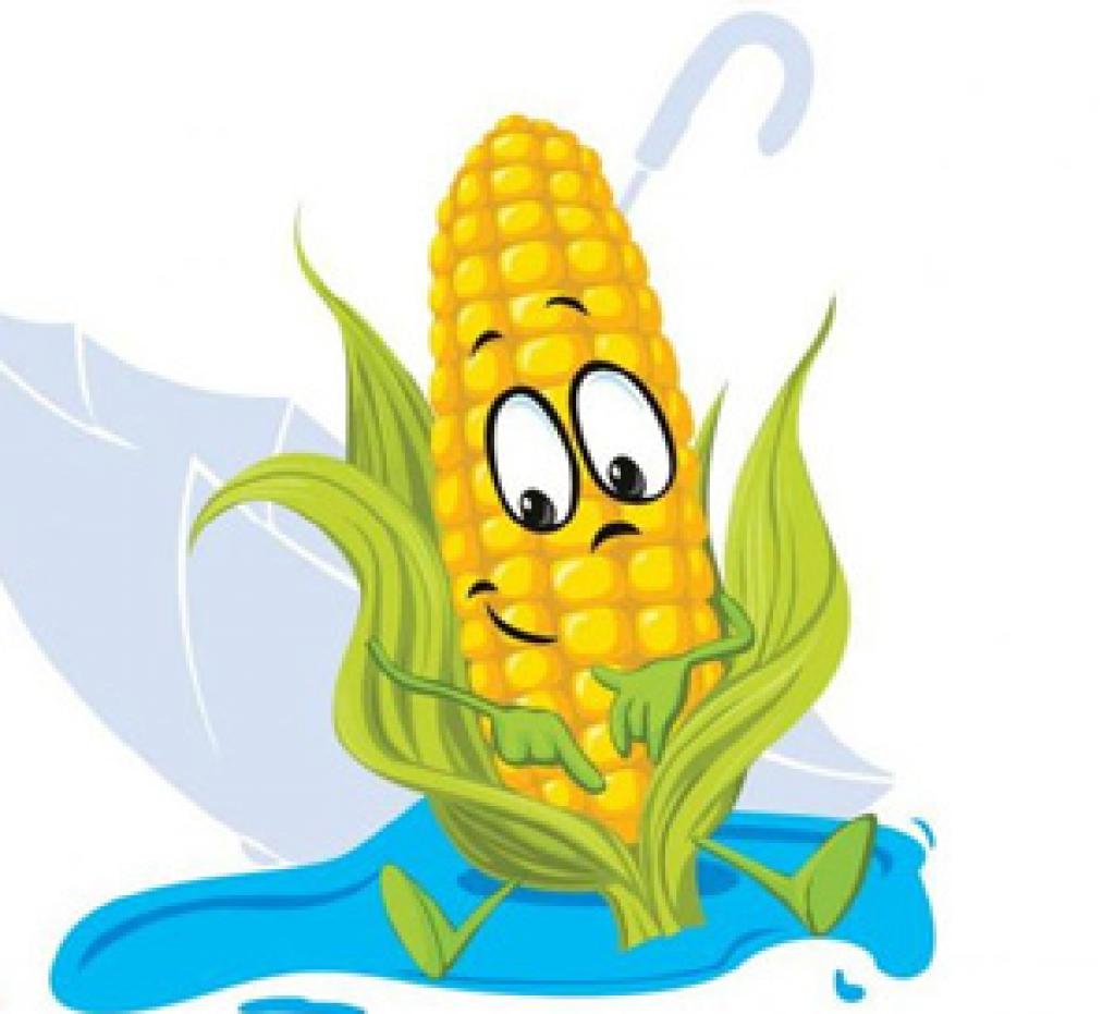 Crunchy Corn Salad
