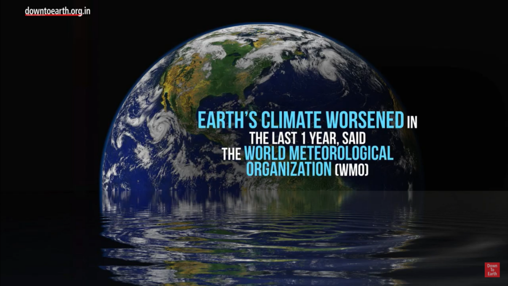 2019 was a Bad Year for the Planet