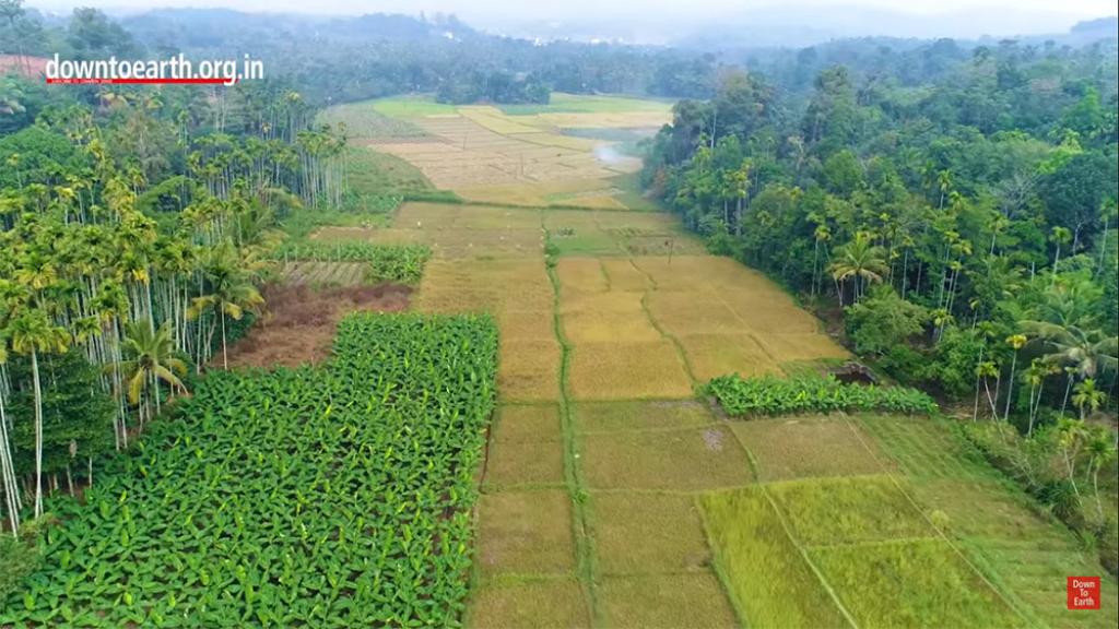 This 70-year Old Farmer's Lifelong Mission is to Save Kerala's ...